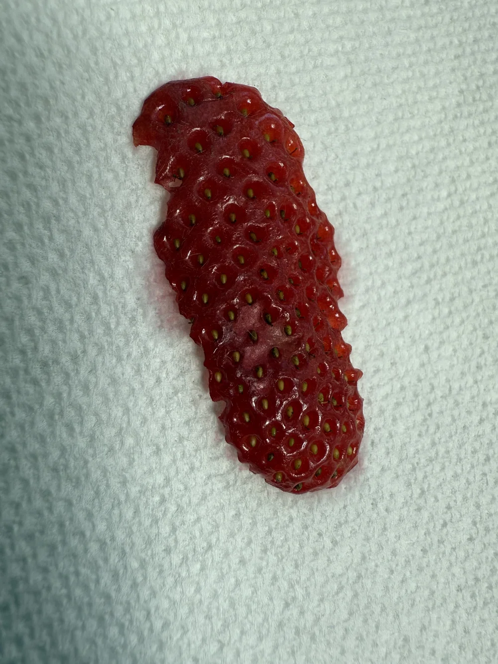 How to Grow Strawberries from a Strawberry Fruit — Art Beat Box