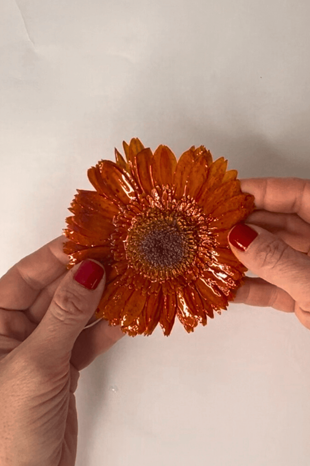 How to Seal and Preserve Flowers for Epoxy Resin — Art Beat Box