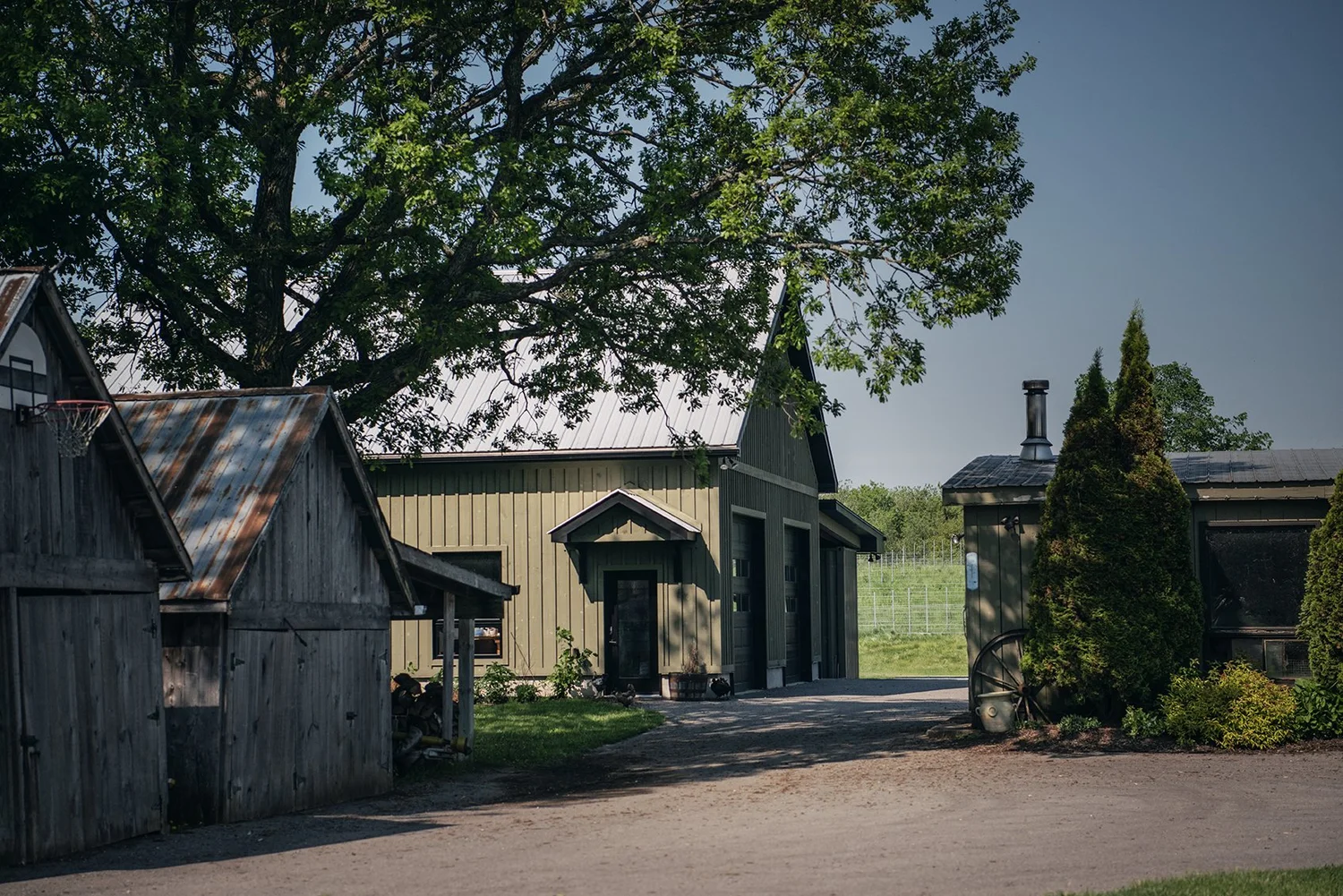 About — Cheeky Duck Vineyard