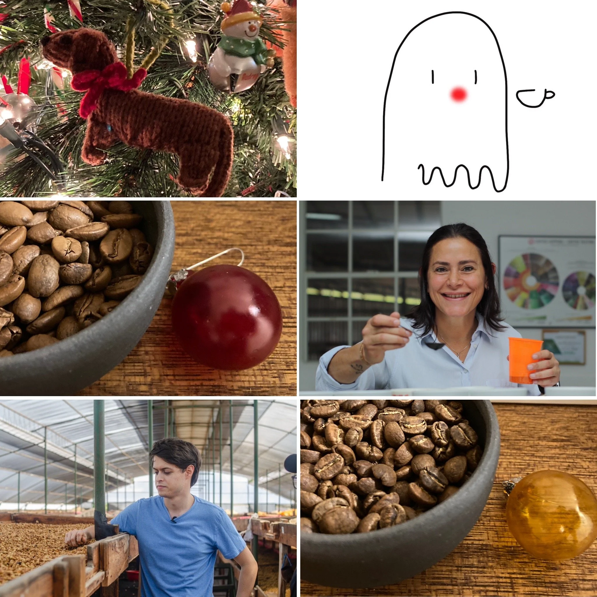 ghost roaster coffee