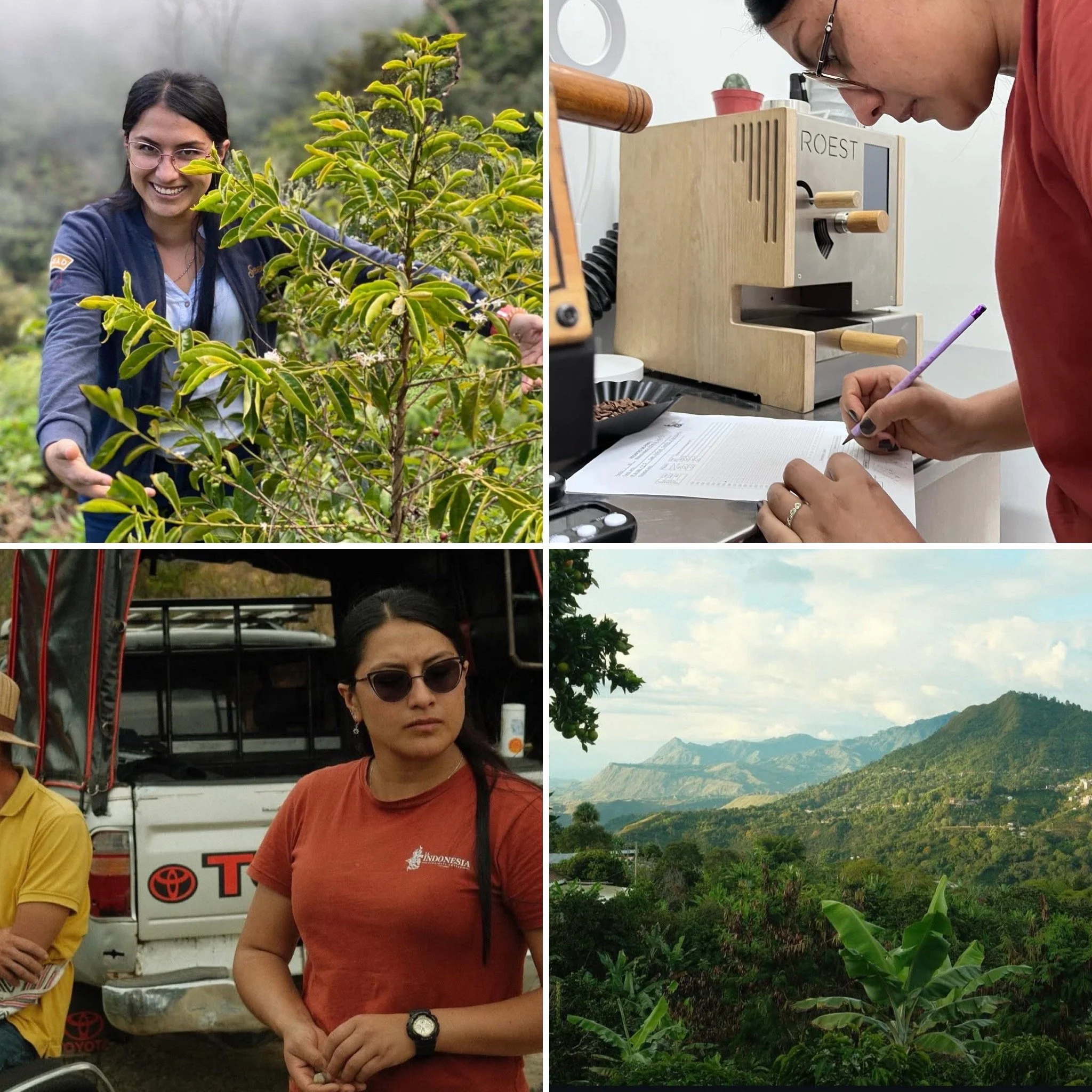 Preorder — ghost roaster coffee