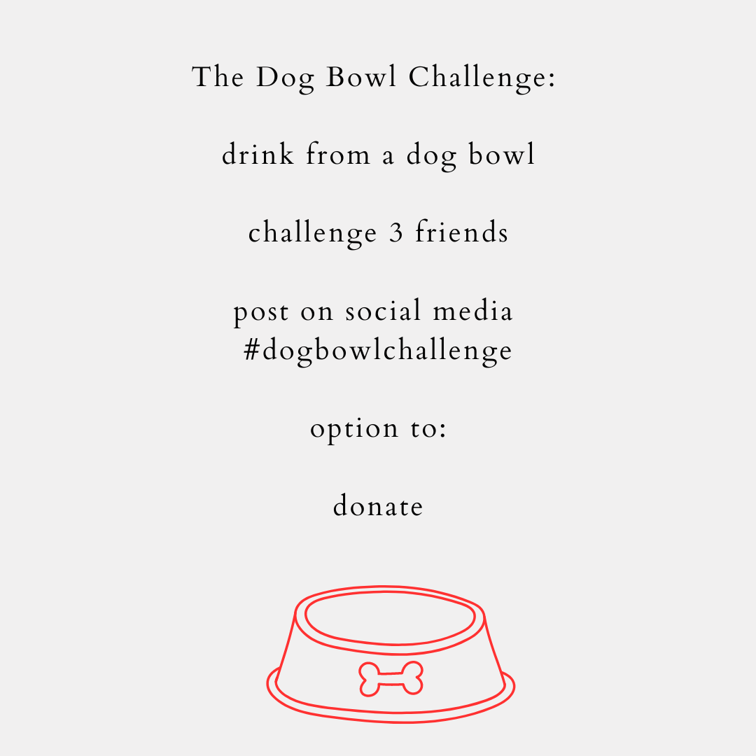 The Dog Bowl Challenge