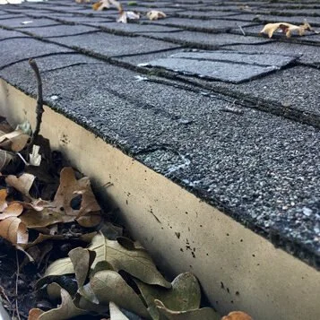 Services — Gecko Gutter