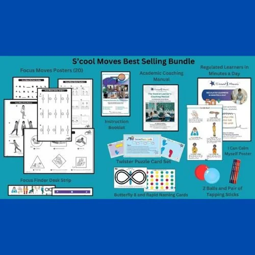 Activities for focus and regulation — S'cool Moves for Learning