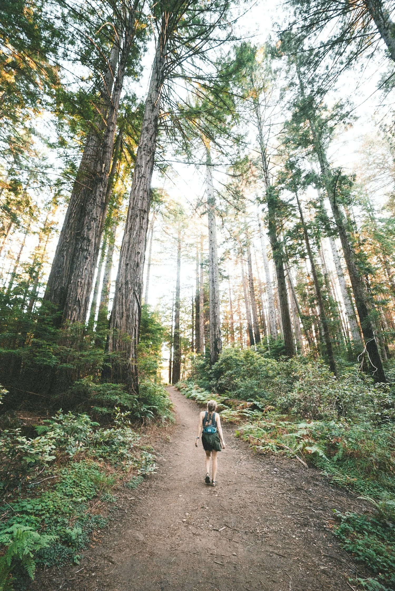 Middle Path Therapy