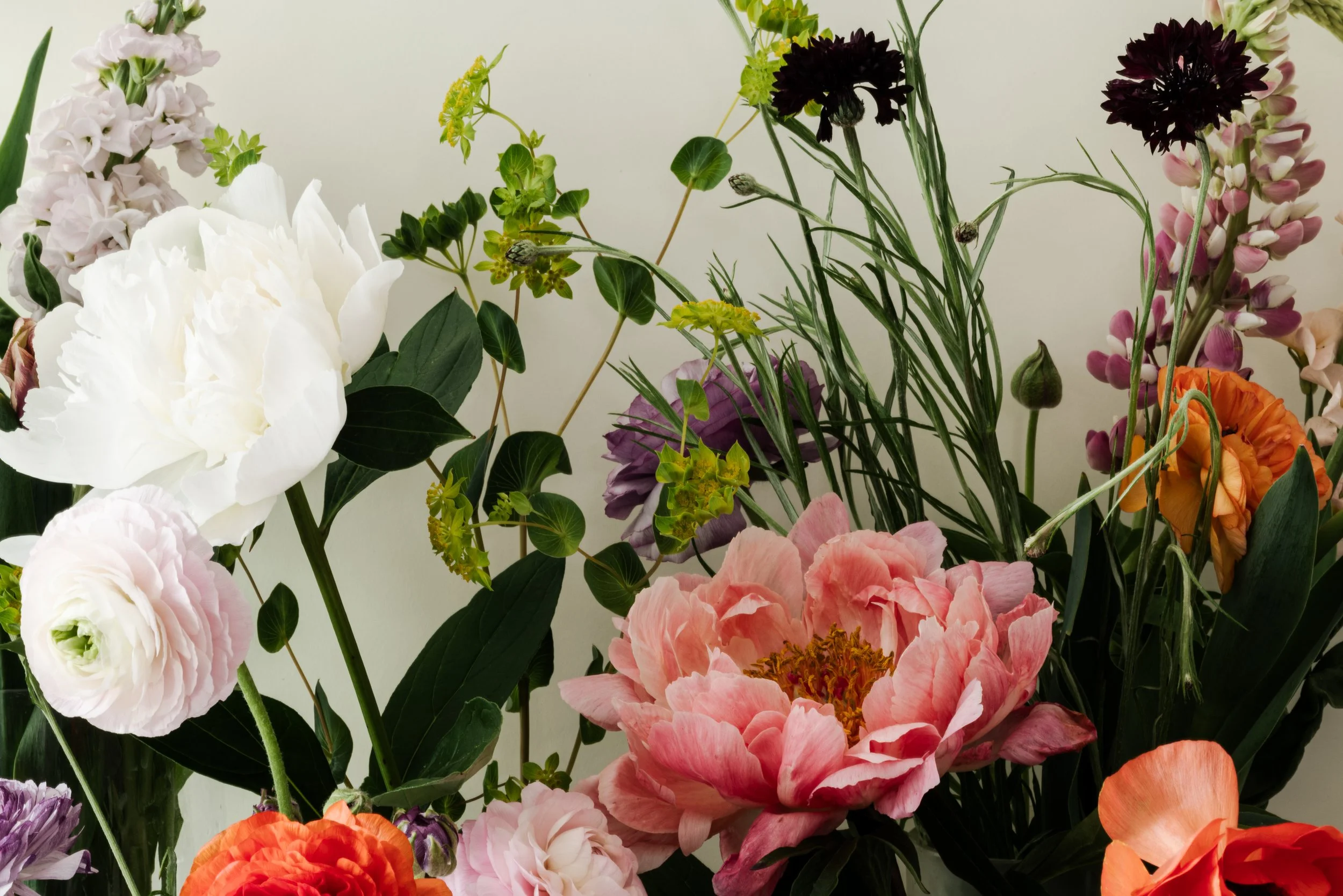 FAQs — the artist collective