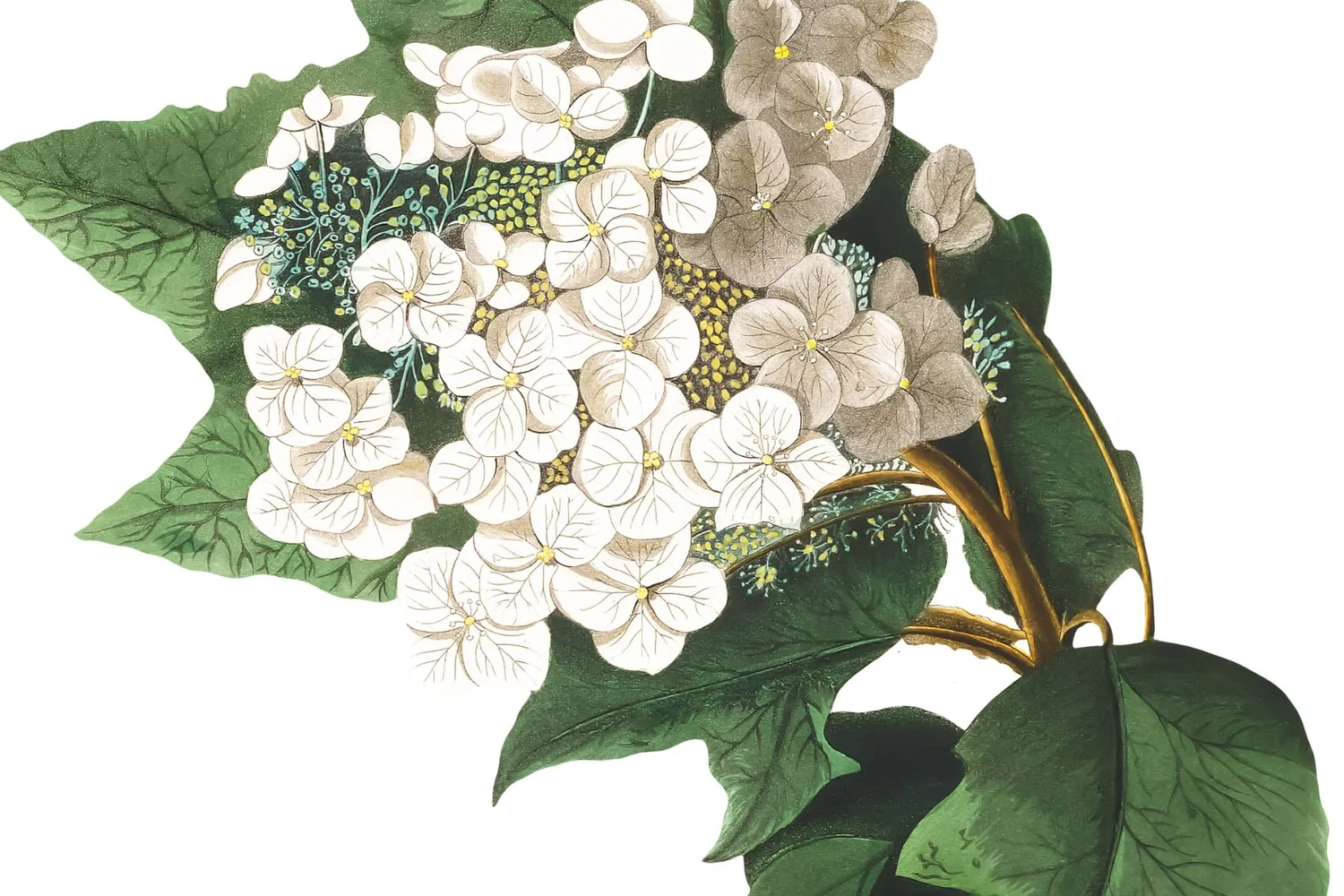 General 2 — the artist collective