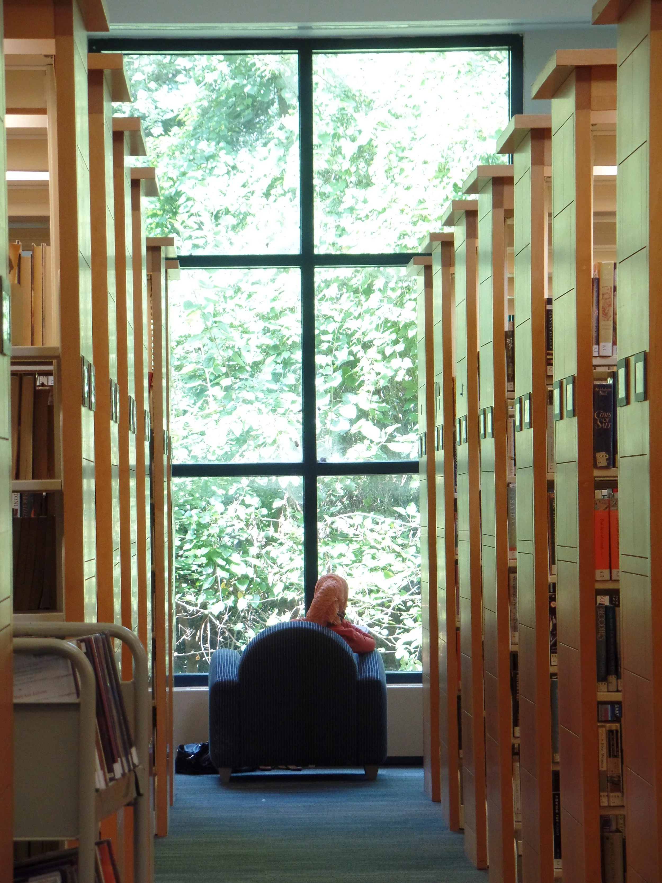 Friends of Beatley Library