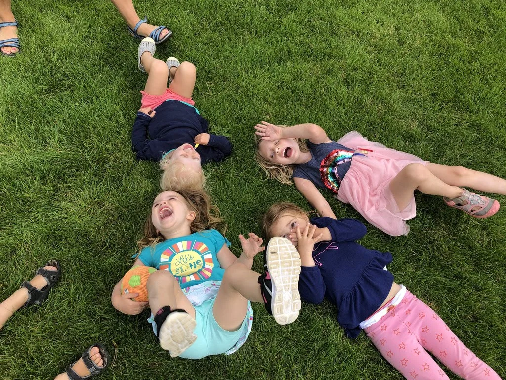 Brain Development — LECDC