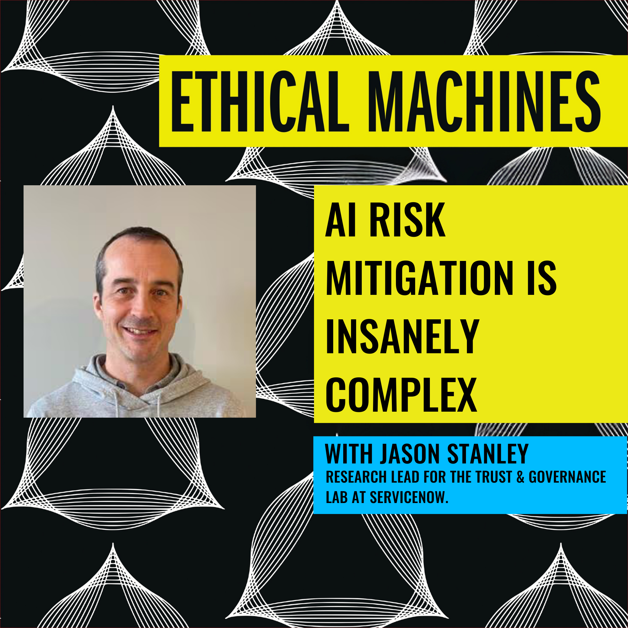 Ai Risk Mitigation Is Insanely Complex Ethical Machines Podcast With
