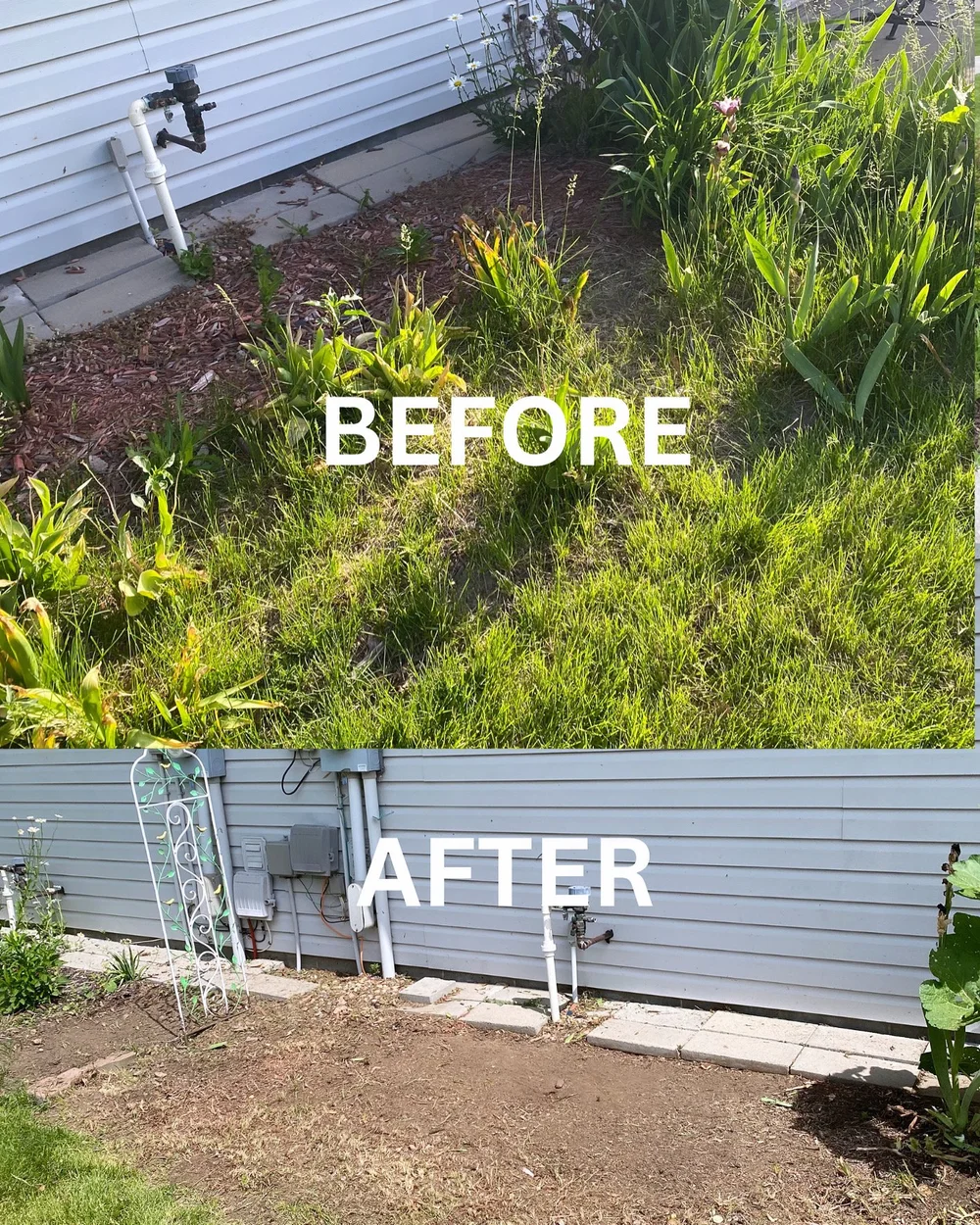 Hass Lawn And Landscape