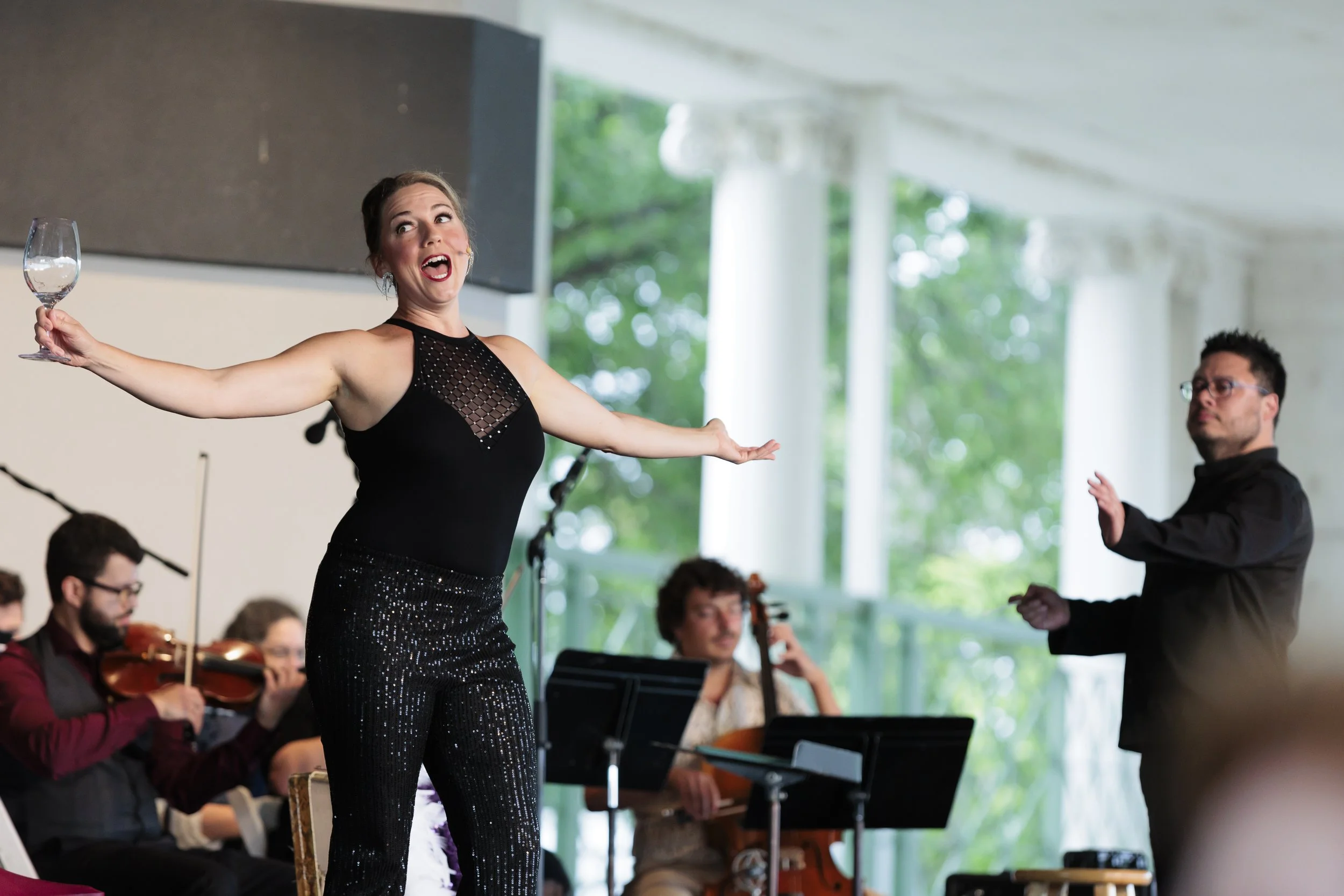 Vienna Nights Concert Series