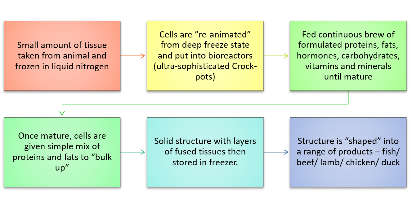 How are plant-based meat alternatives made? — Cultivating Wellness ...