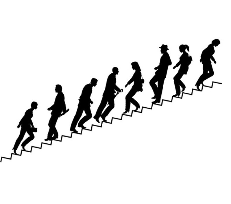 Climbing the Nutrition Staircase — Cultivating Wellness | Stacey Curcio ...