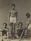 Our history — Gumatj Corporation