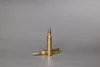 .375 SWISS P - SWISS P sniper ammunition - Precision for snipers - SwissP