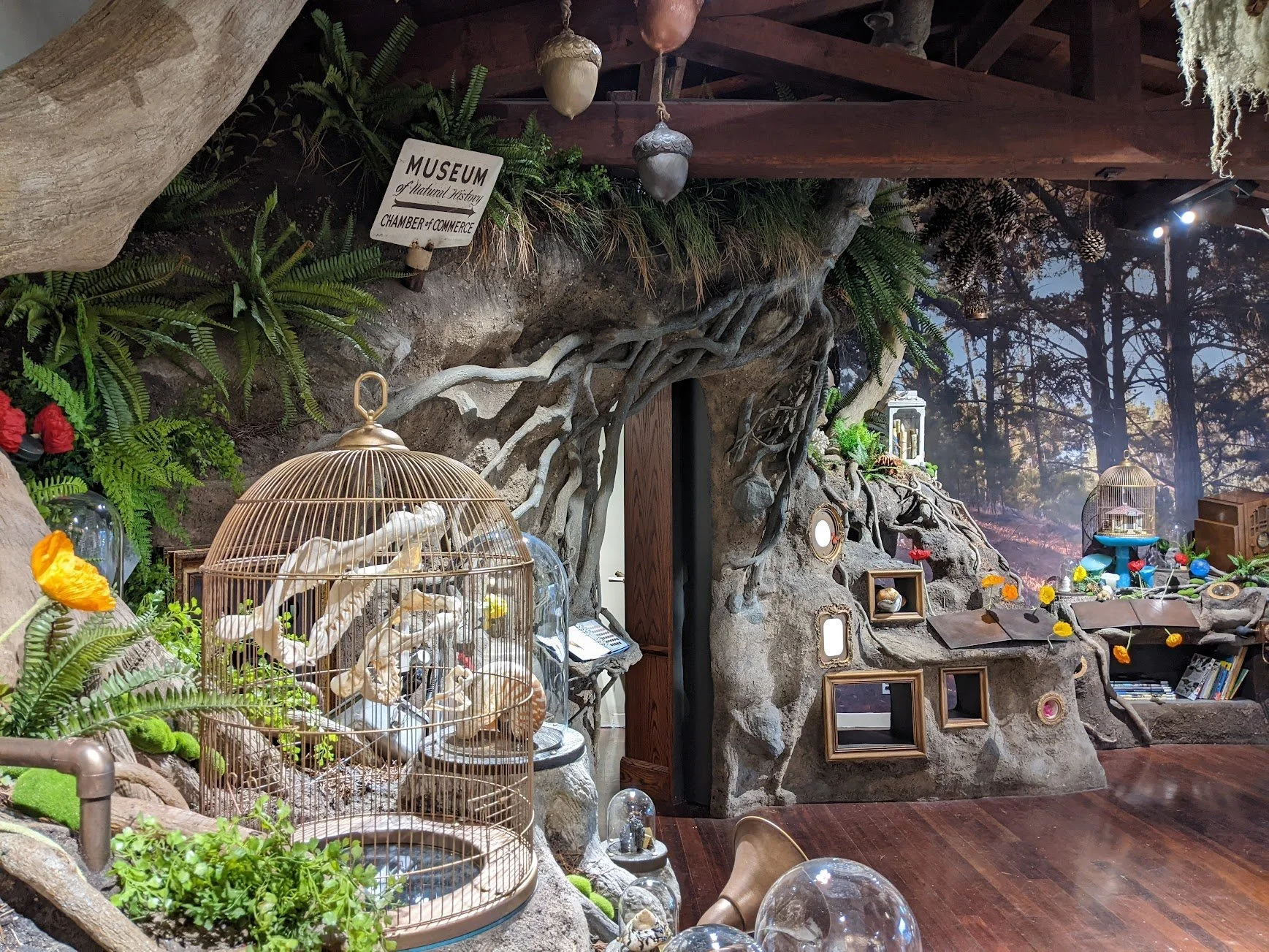 Exhibits — Pacific Grove Museum of Natural History