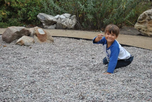Plan Your Visit — Pacific Grove Museum of Natural History