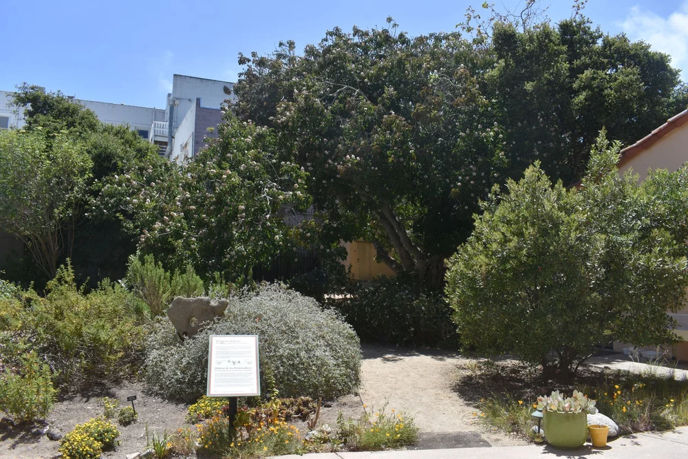About — Pacific Grove Museum of Natural History