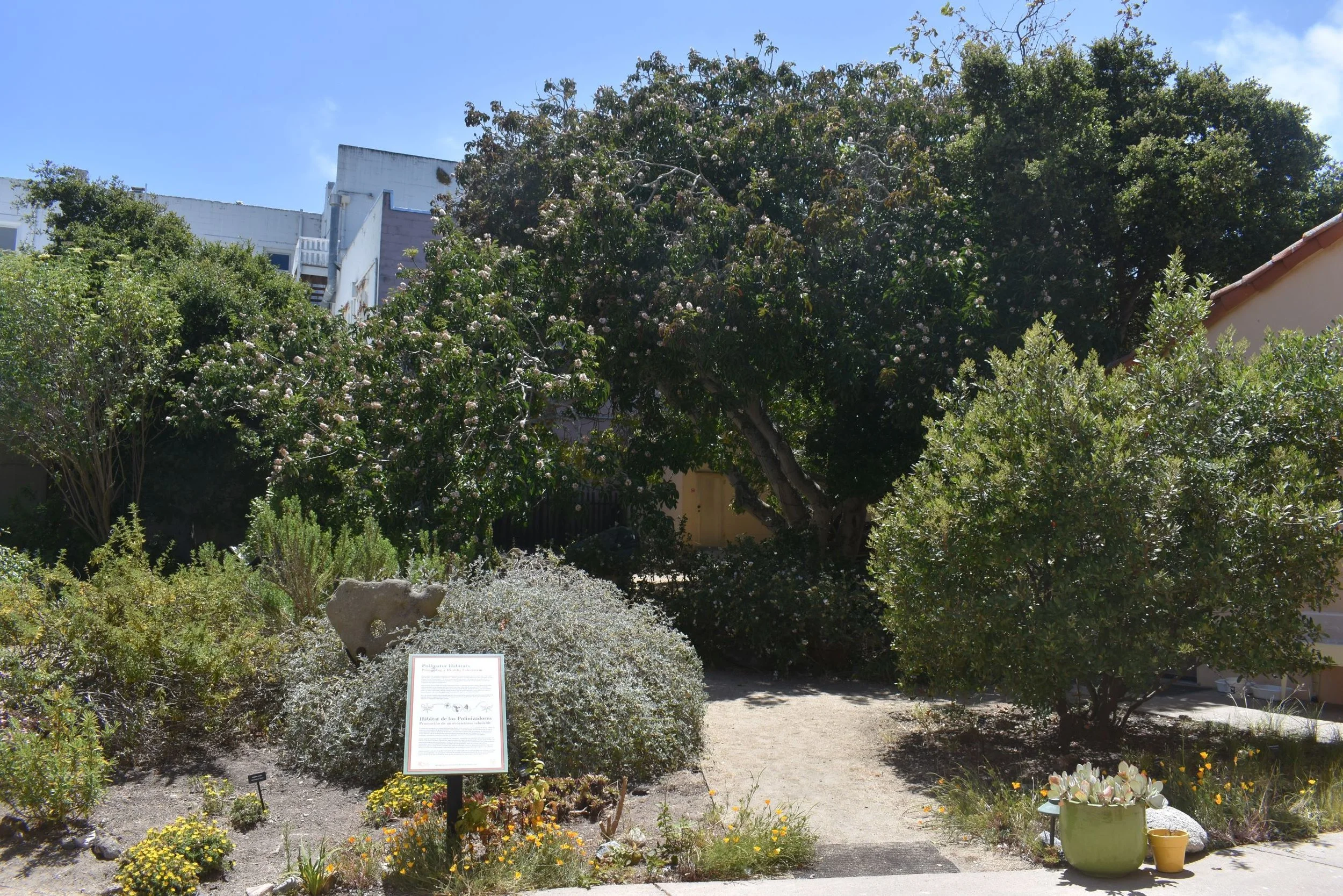 About — Pacific Grove Museum of Natural History