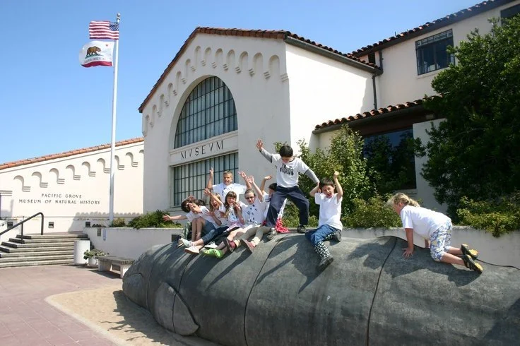 About — Pacific Grove Museum of Natural History