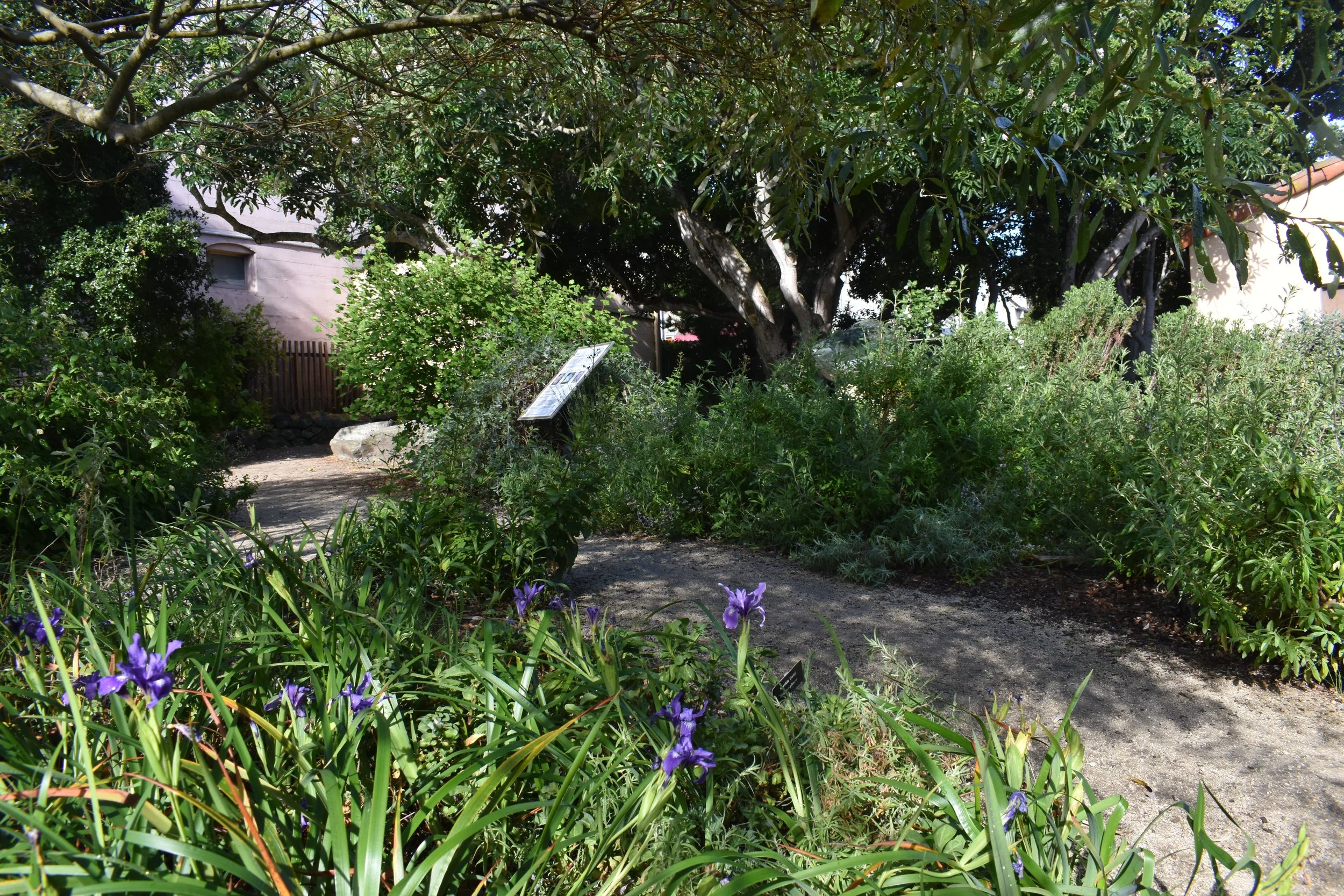 Exhibits — Pacific Grove Museum of Natural History