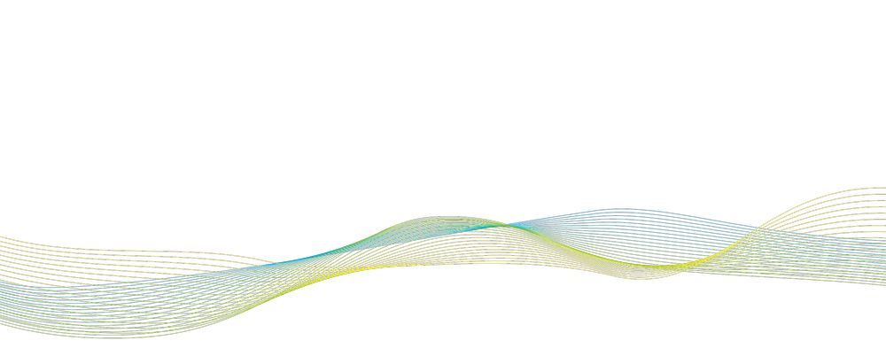 Program — GSUN Summit