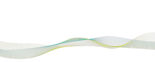 Program — GSUN Summit