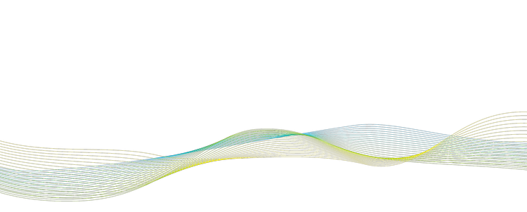 Program — GSUN Summit