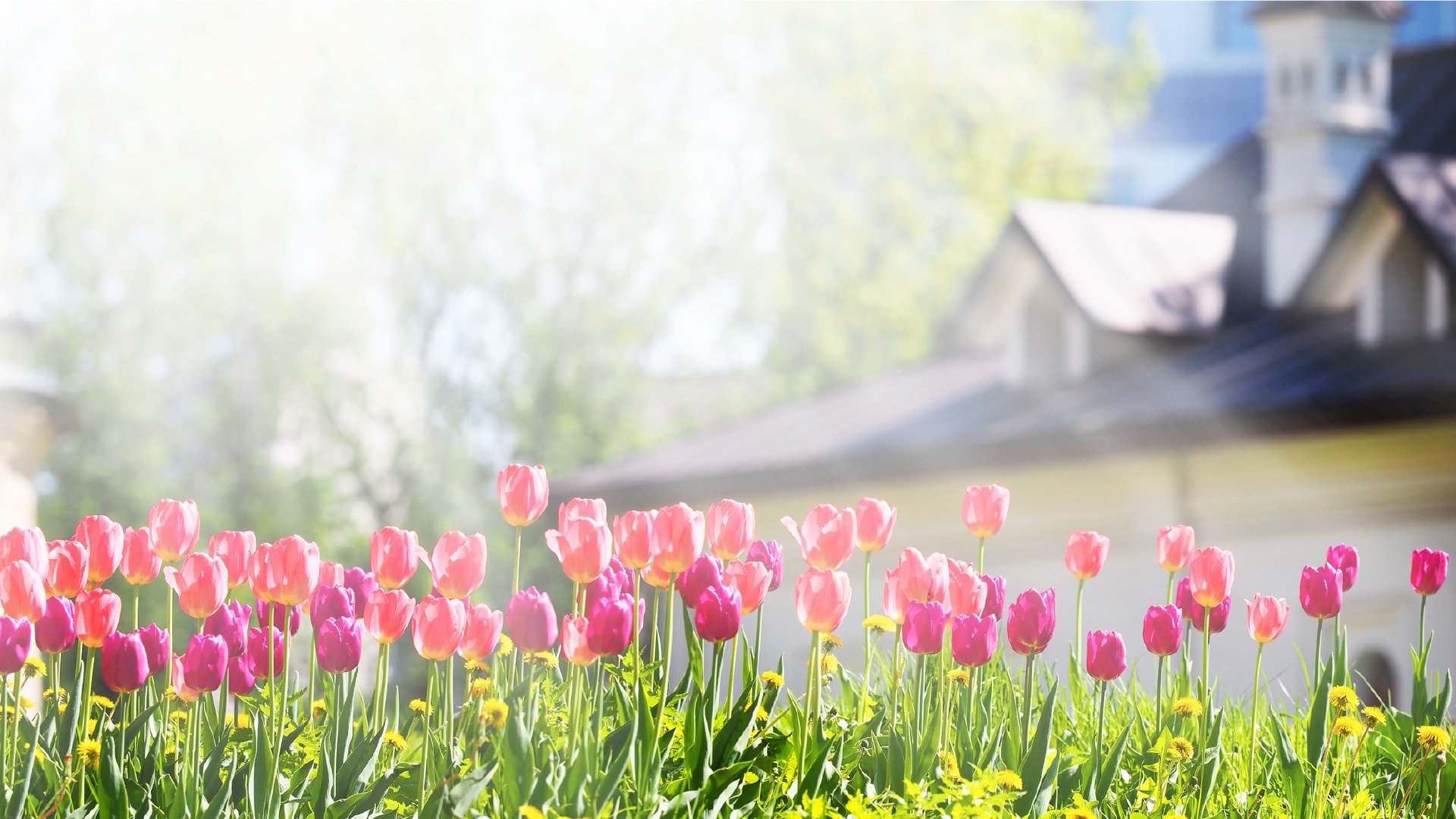 Lehigh Valley Educators Credit Union | LVECU