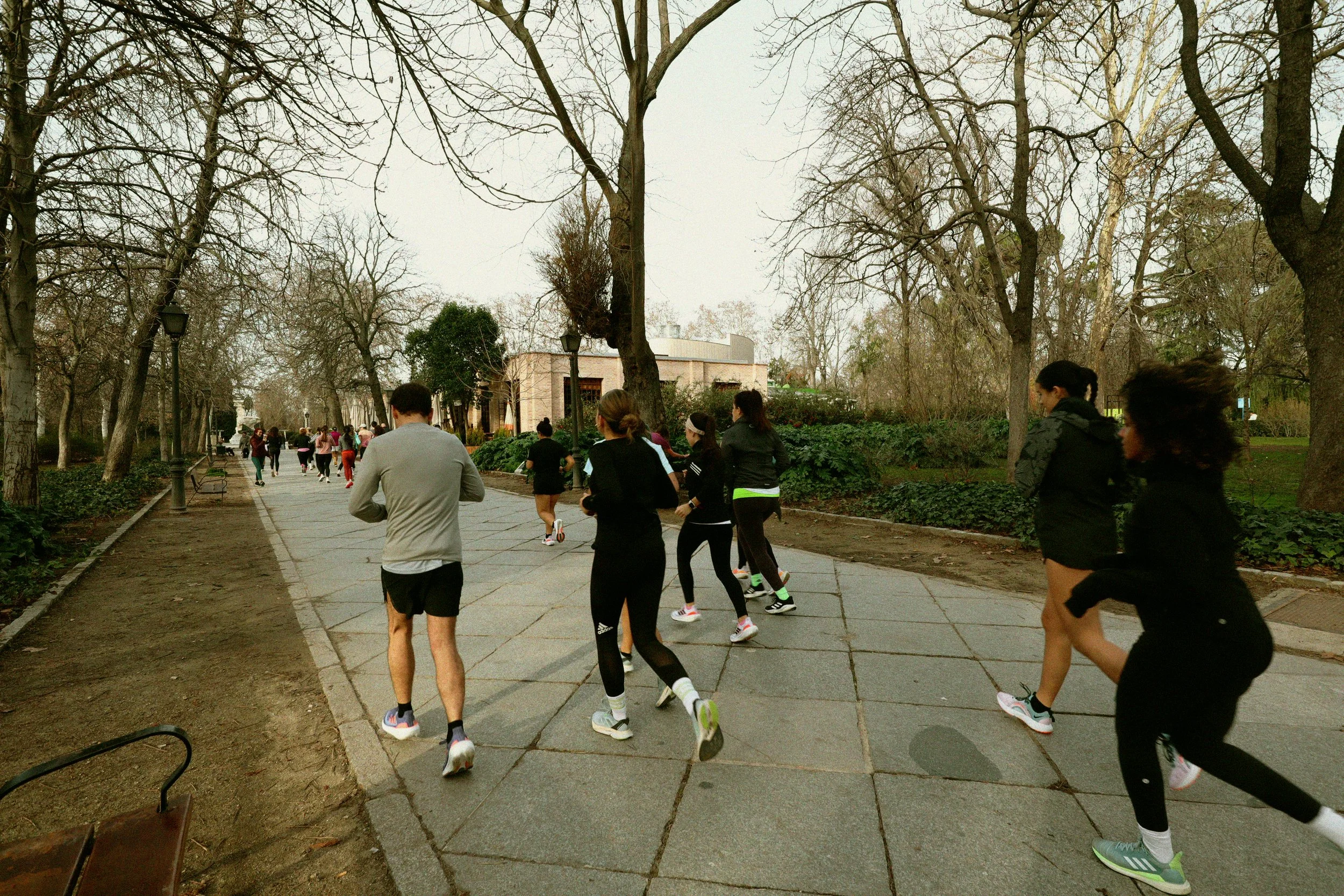 MadRunners