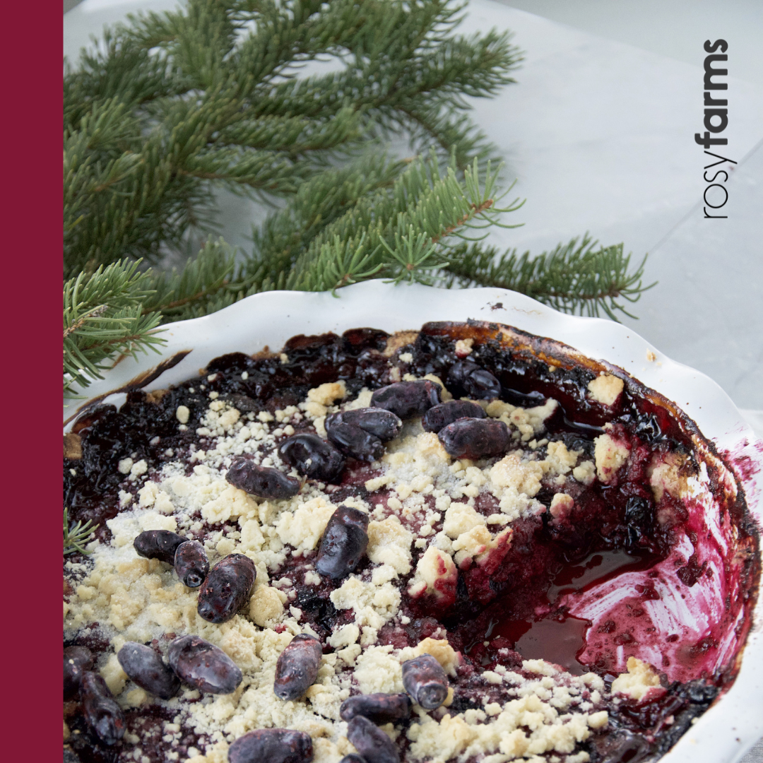 Haskap Pie With Greek Yogurt — Rosy Farms Berry Upick