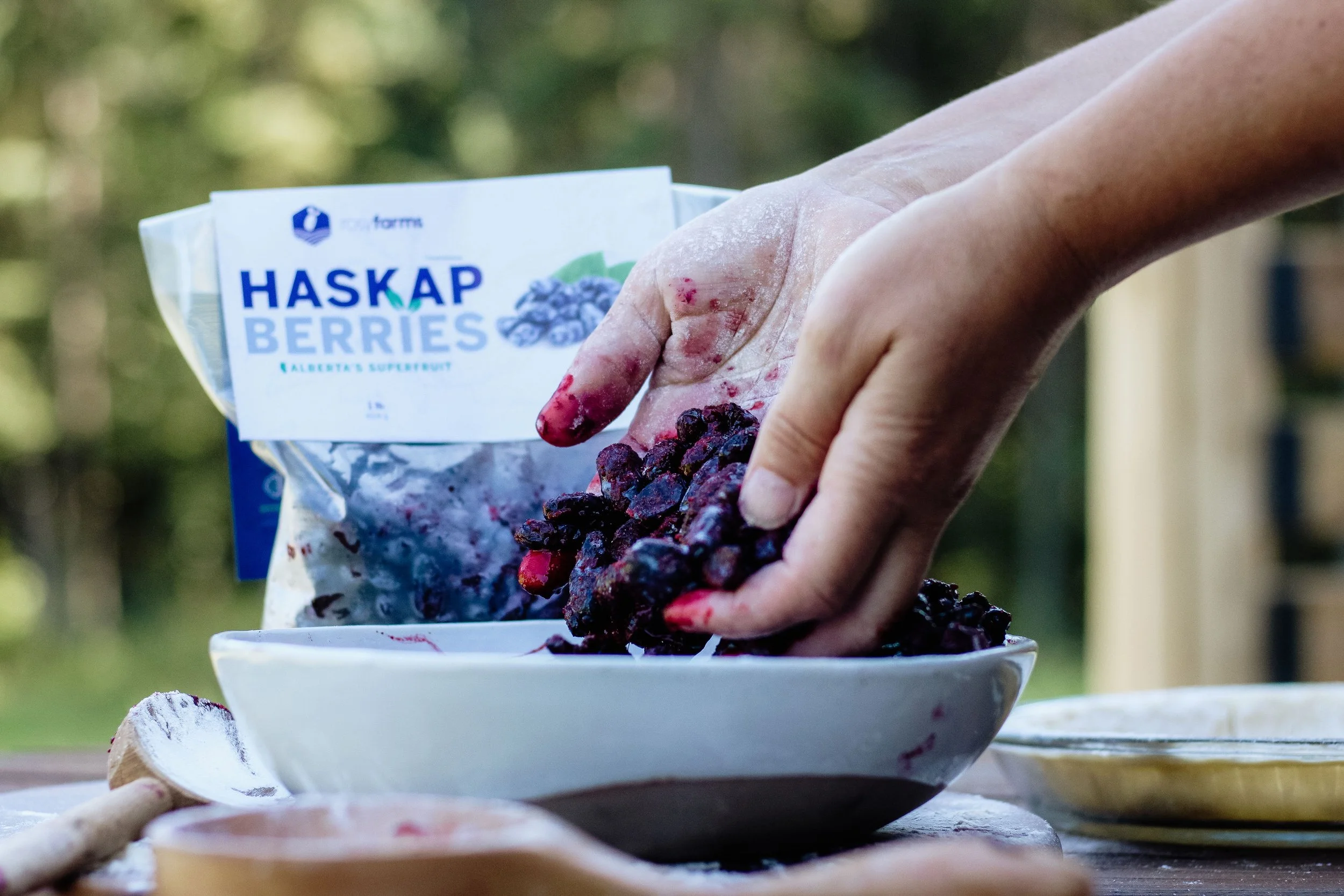 Where to Find Haskap Berries — Rosy Farms — Berry Upick