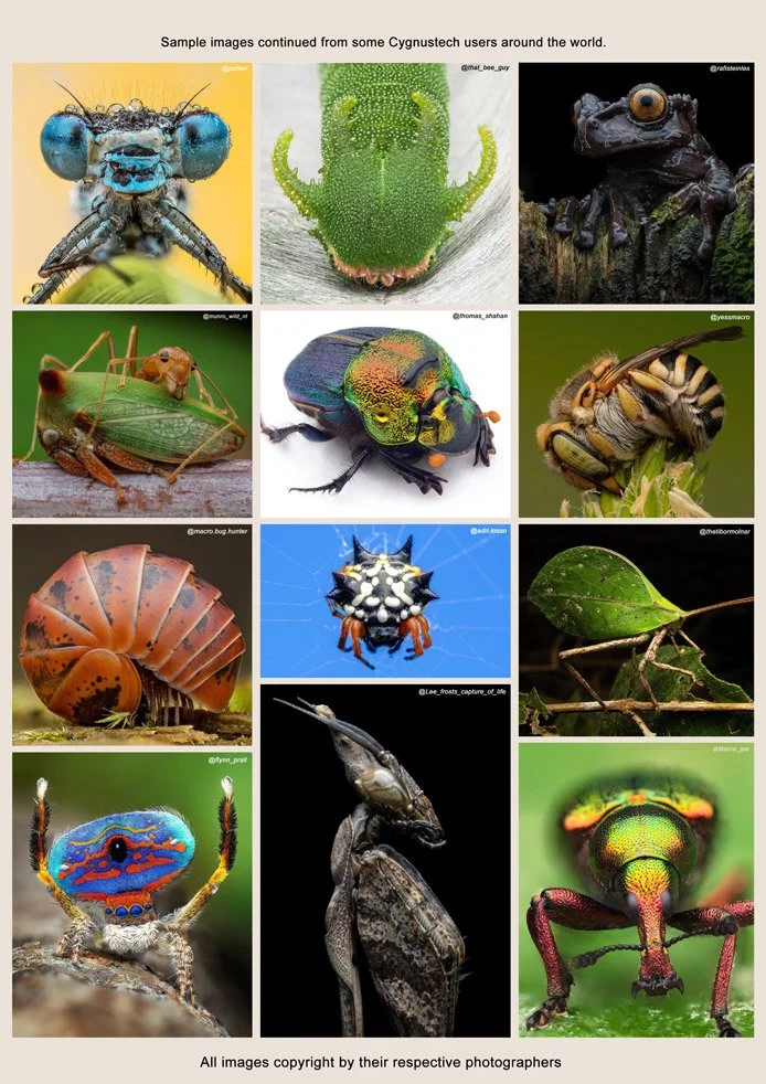 Gallery — Cygnustech Diffusers