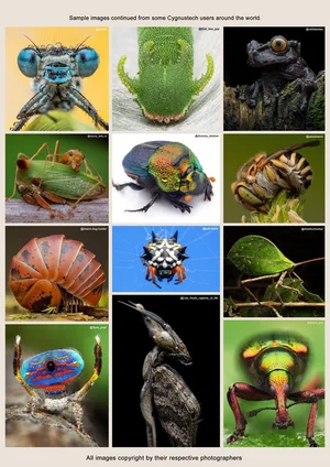 Gallery — Cygnustech Diffusers