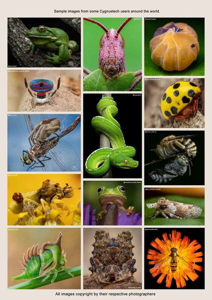 Gallery — Cygnustech Diffusers