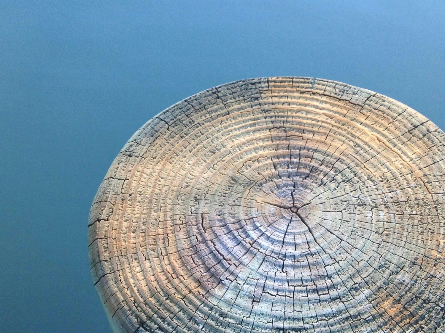 About Dr. Sarah Zambarano, A Connecticut Naturopathic Doctor and ...