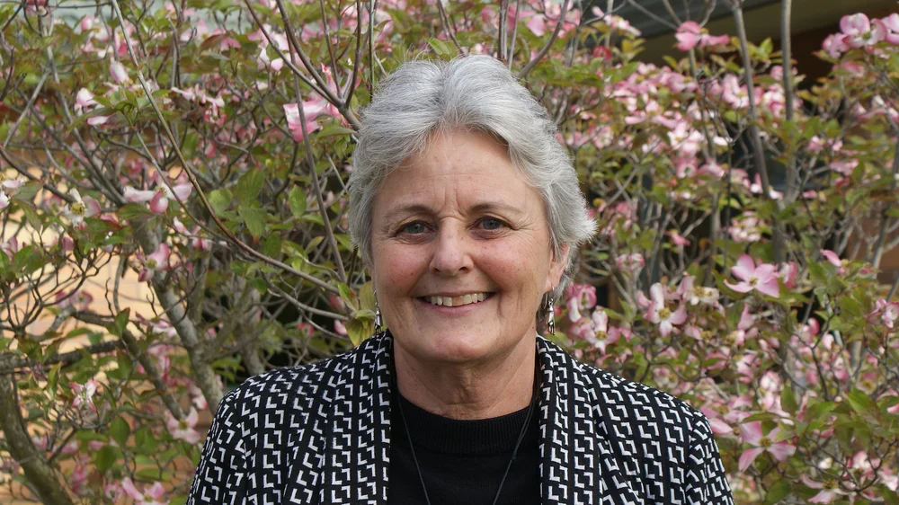 Who We Are — Coalition to End Women's Homelessness