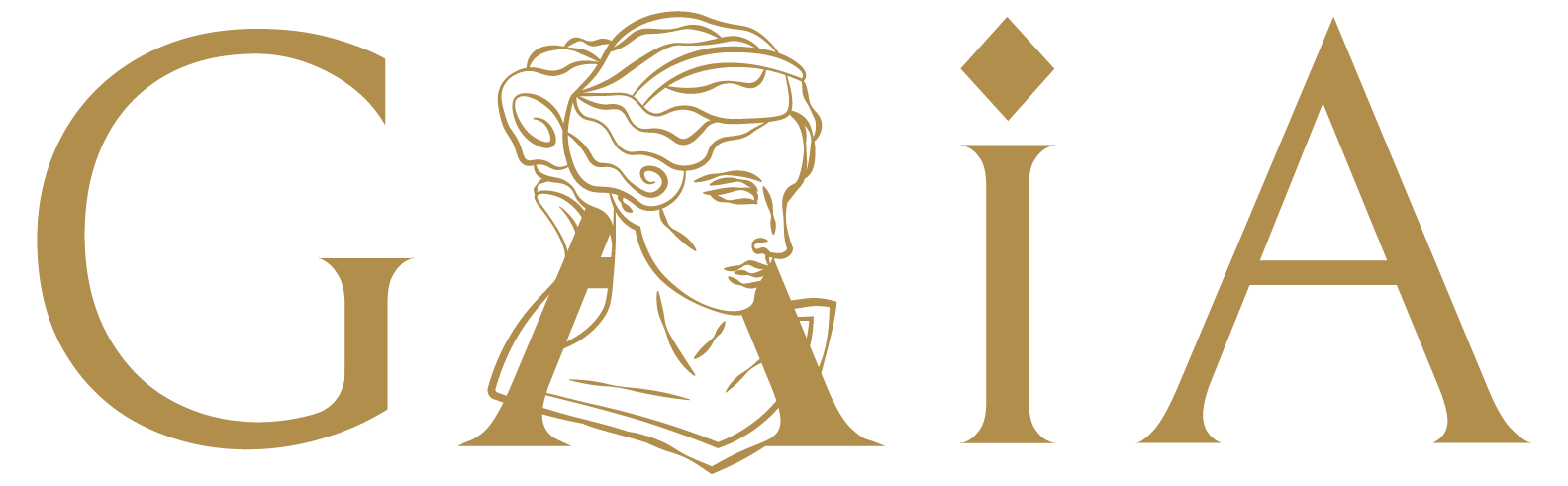 GAIA: Empowering Senior Women Leaders with Connection, Growth, and Support
