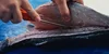 How to Fillet a Sea Bass — Y Marram