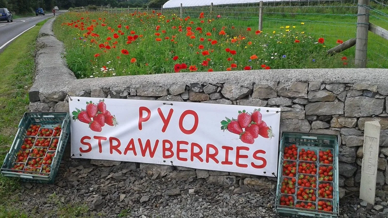 Anglesey Food Guide: Best Local Produce and Seasonal Menus — Y Marram