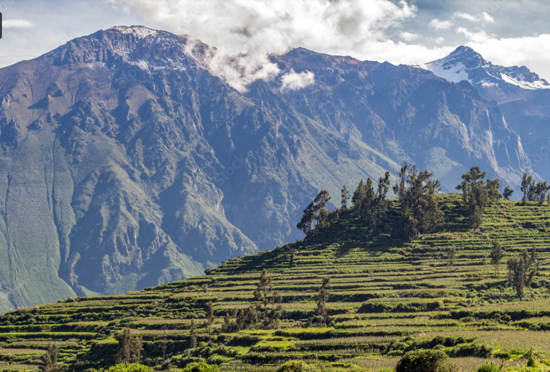 ANDES 2 AMERICA IMPORTS