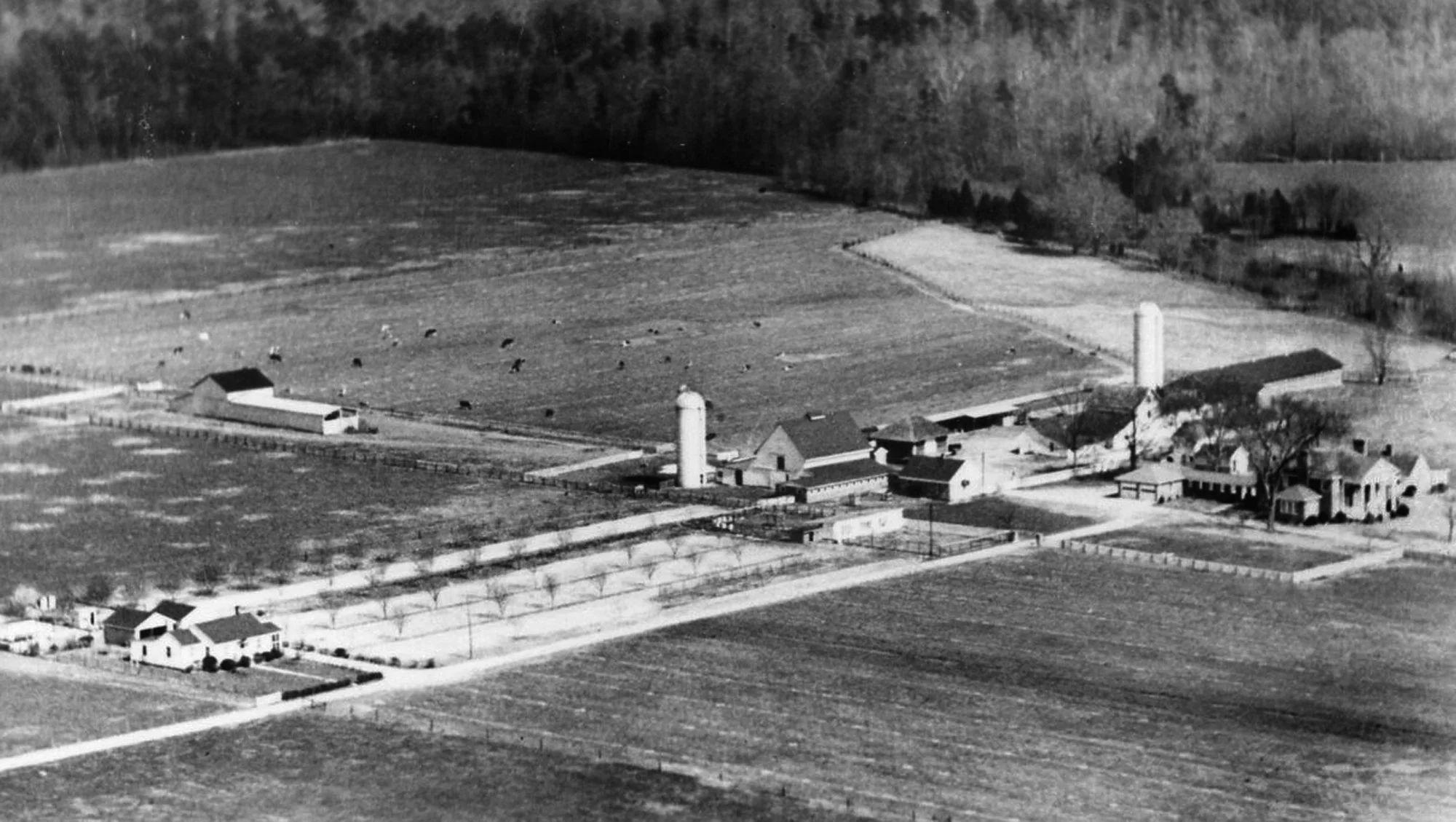 Agriculture Photo Gallery — Greater Chuckatuck Historical Foundation