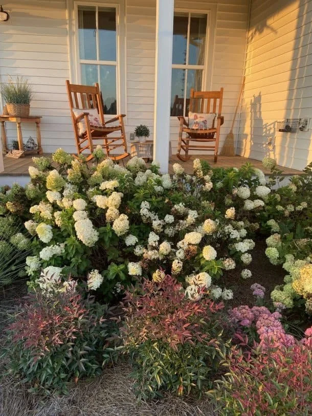 13 Flowers I LOVE in a Dreamy Cottage Garden: My Favorites — Hey ...