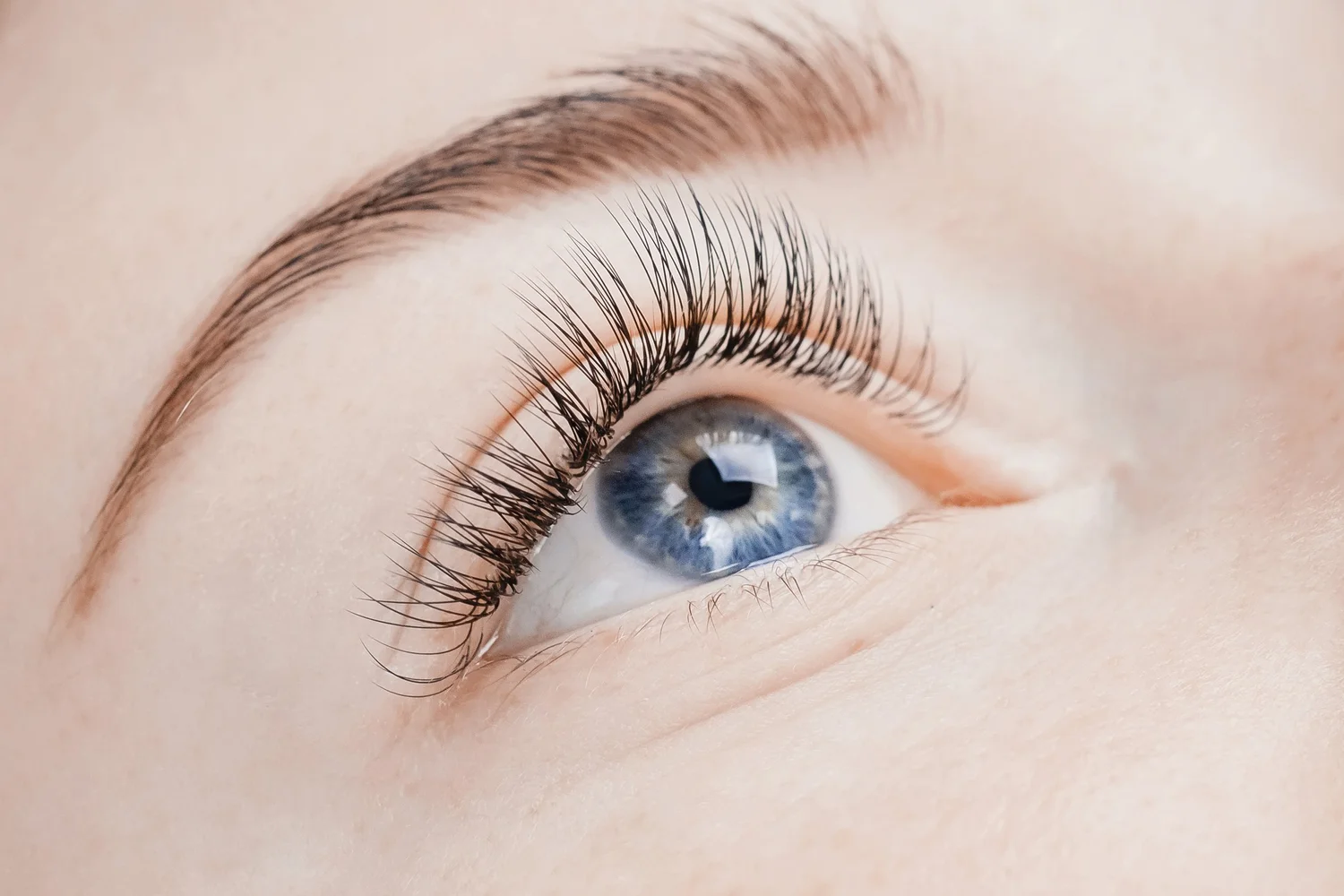 Classic Lash Extensions: A Timeless Beauty Trend at Glow Up Studio ...