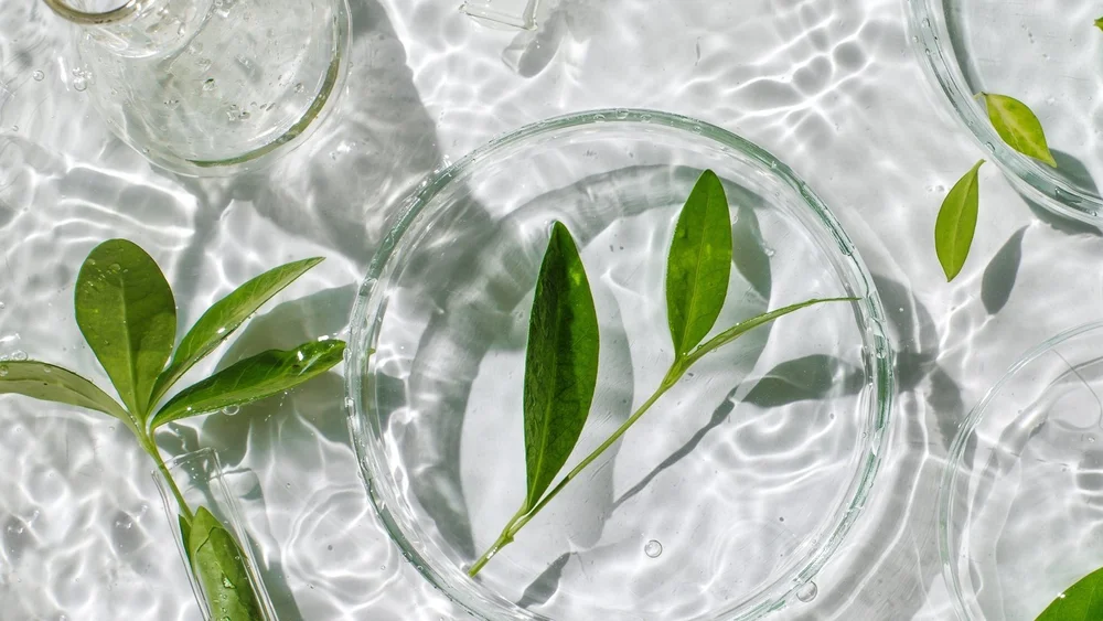 Skincare Ingredients 101: What to Look for in Facials — Glow Up Studio