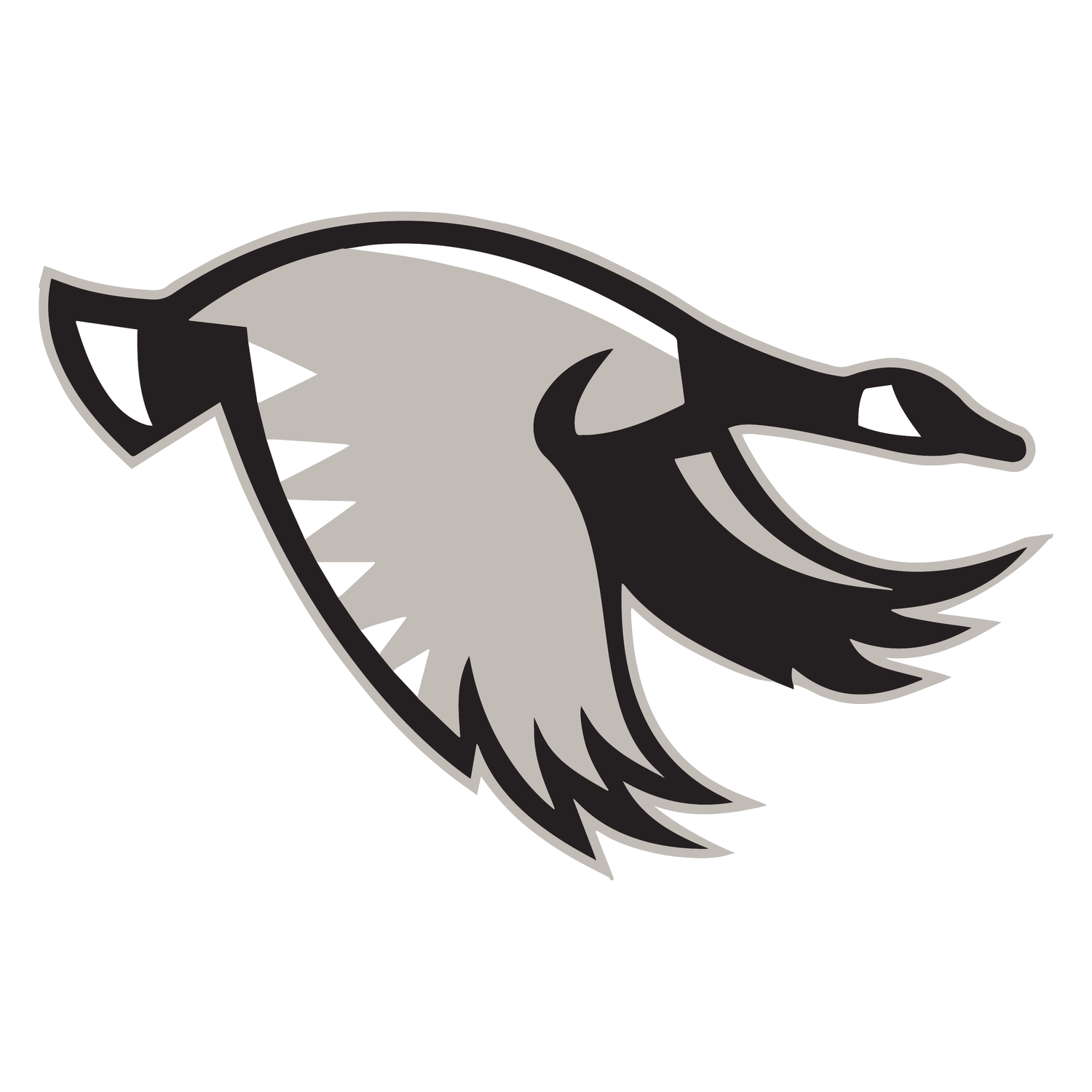 Goose Lake Association