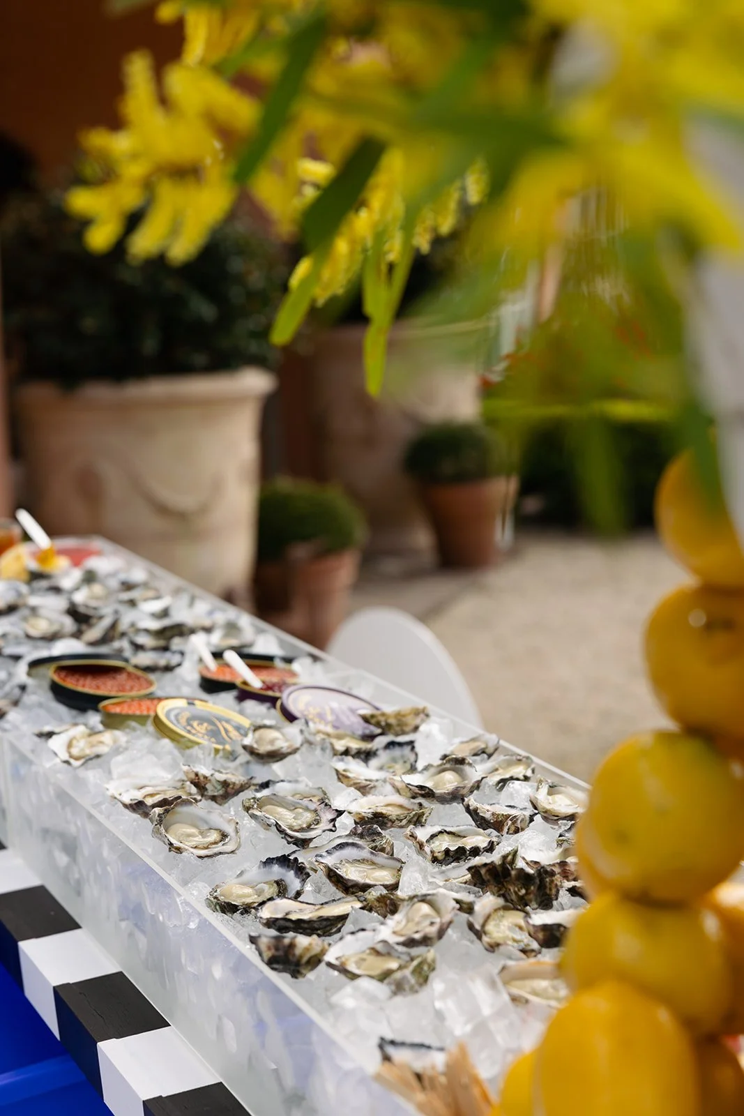 Oyster Catering Packages for Weddings and Corporate Events | Shuck Yeah ...