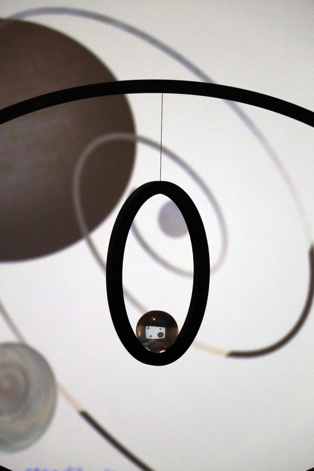 radial sign — LISA SAMMUT