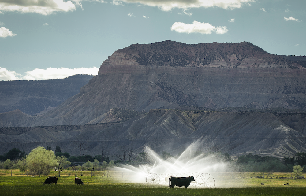 Emery County